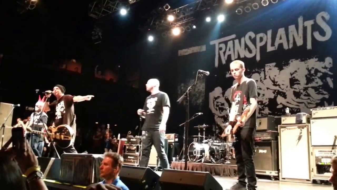 The Transplants Live