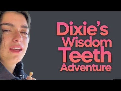 DIXIE’S WISDOM TEETH ADVENTURE | DIXIE D’AMELIO