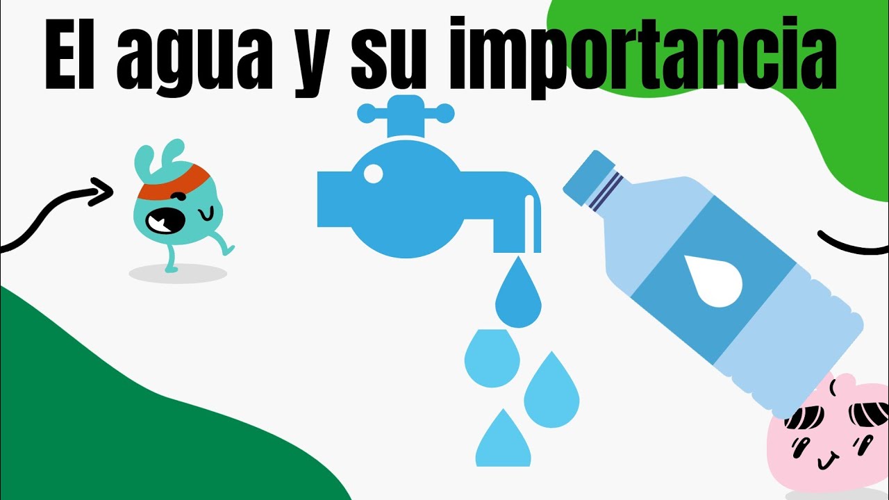 EL AGUA Y SU IMPORTANCIA PARA LA VIDA - YouTube