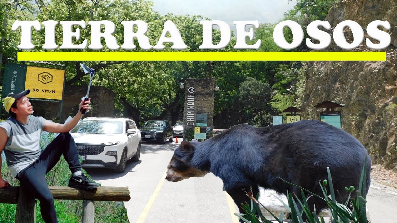 ASI ES CHIPINQUE TIERRA DE OSOS Y AGUANIEVE, LA RESERVA NATURAL DE ...