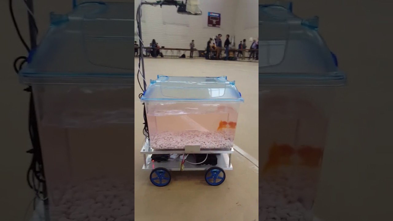 Self driving fish tank - YouTube