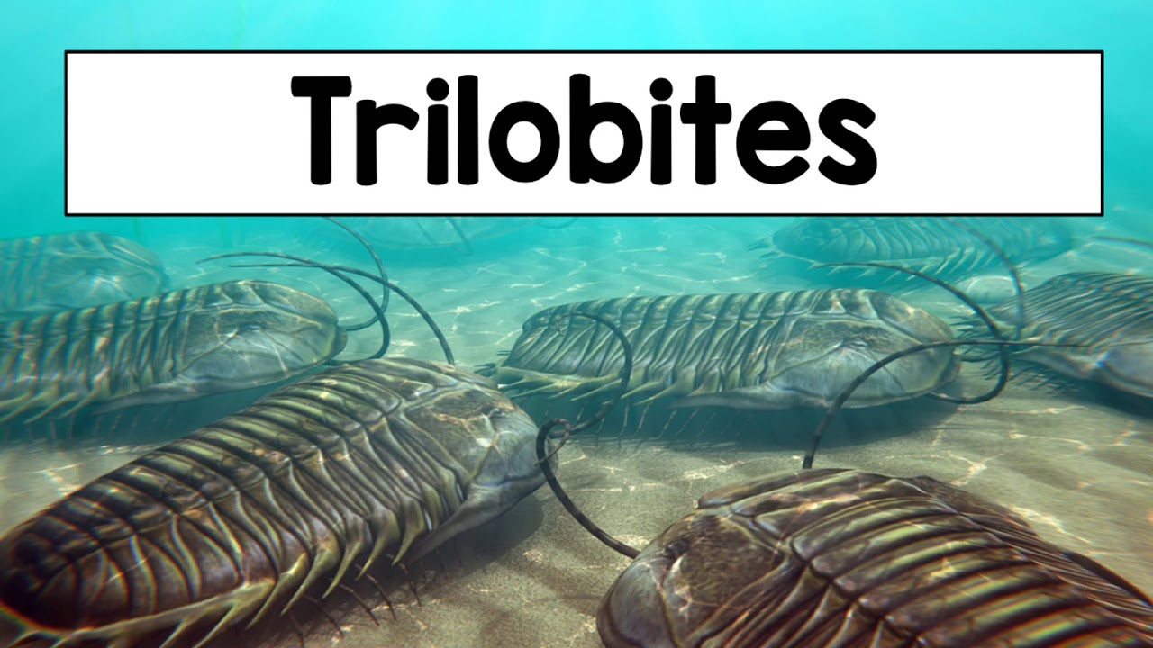 second great story - YouTube