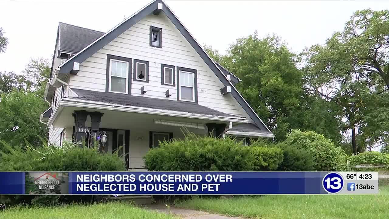 Neighbors concerned over neglected house and pet - YouTube