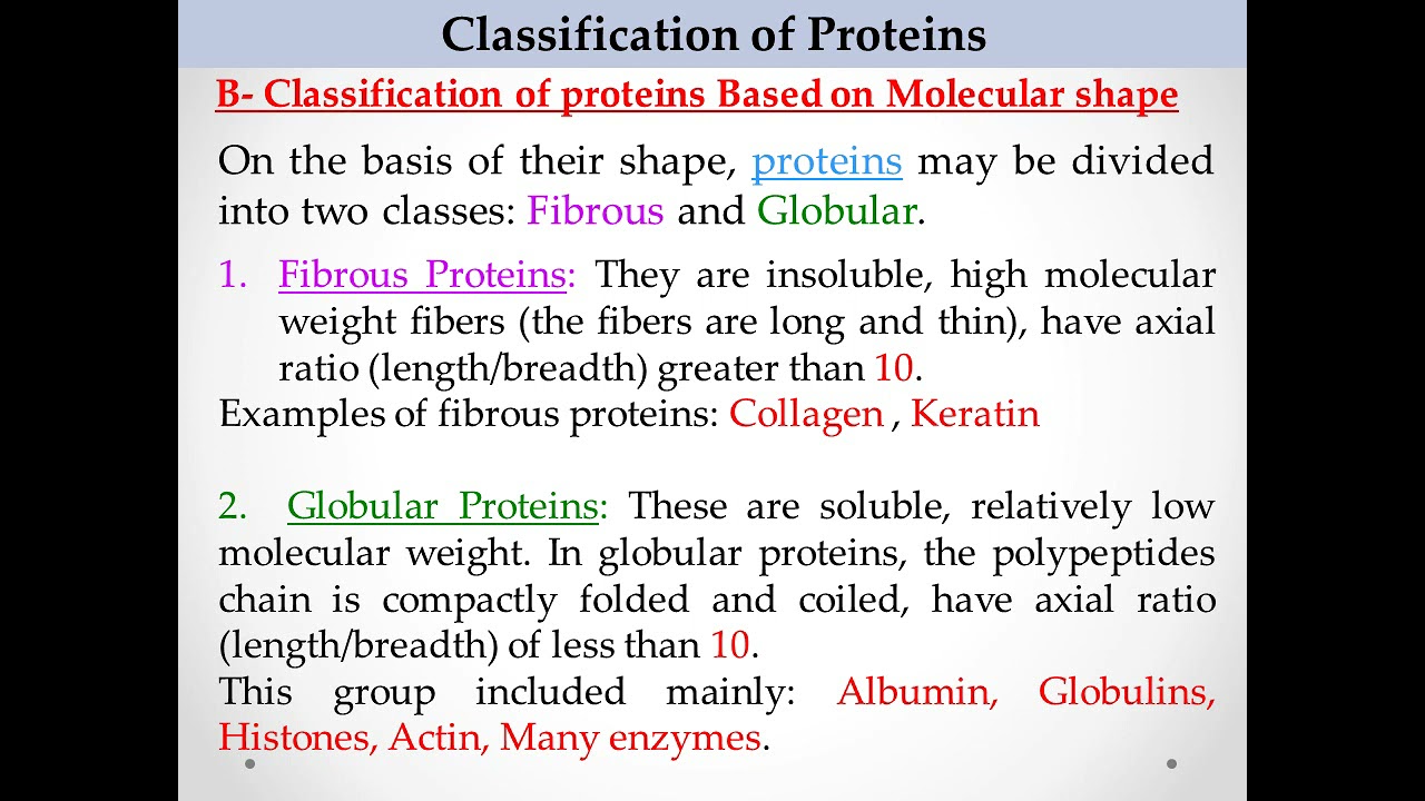 Proteins lecture 1 - YouTube