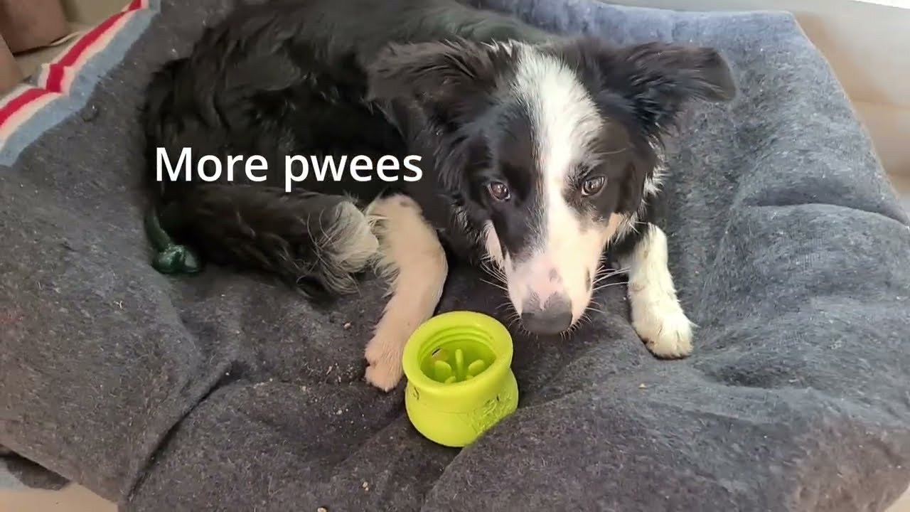 Luigi eating freezed food in interactive toy (FastForward) - YouTube