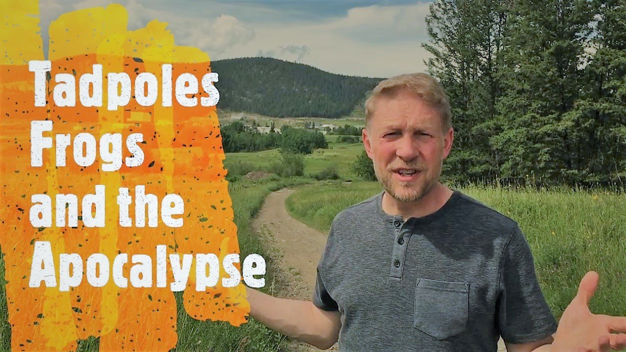 Tadpoles, Frogs, and the Apocalypse - YouTube