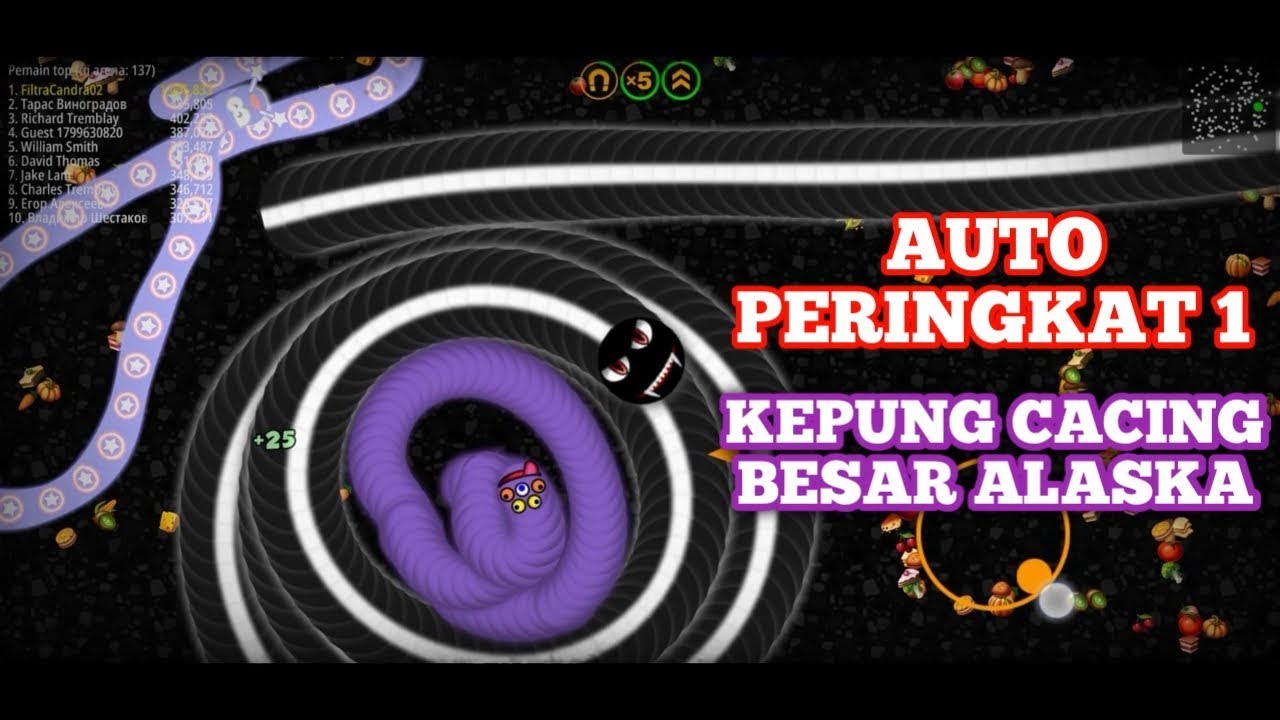 WORM ZONE Memburu Cacing Besar ALASKA - YouTube