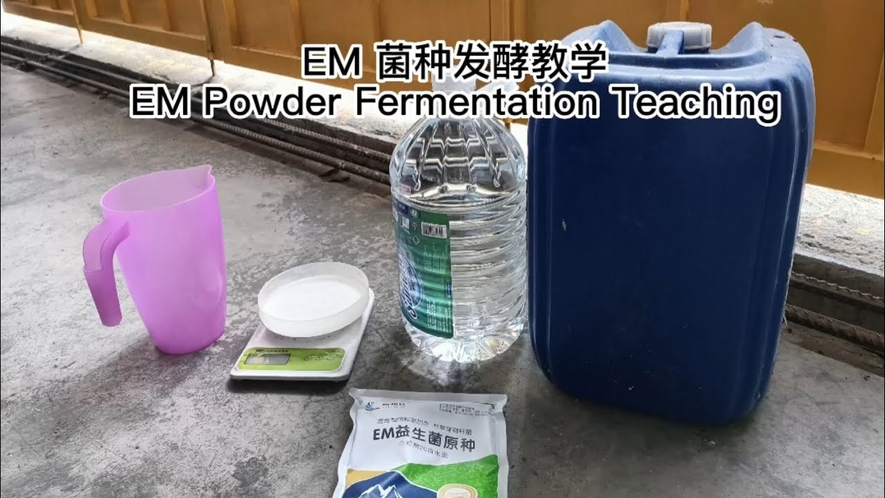 EM 菌种发酵教学 EM Powder Fermentation Teaching - YouTube