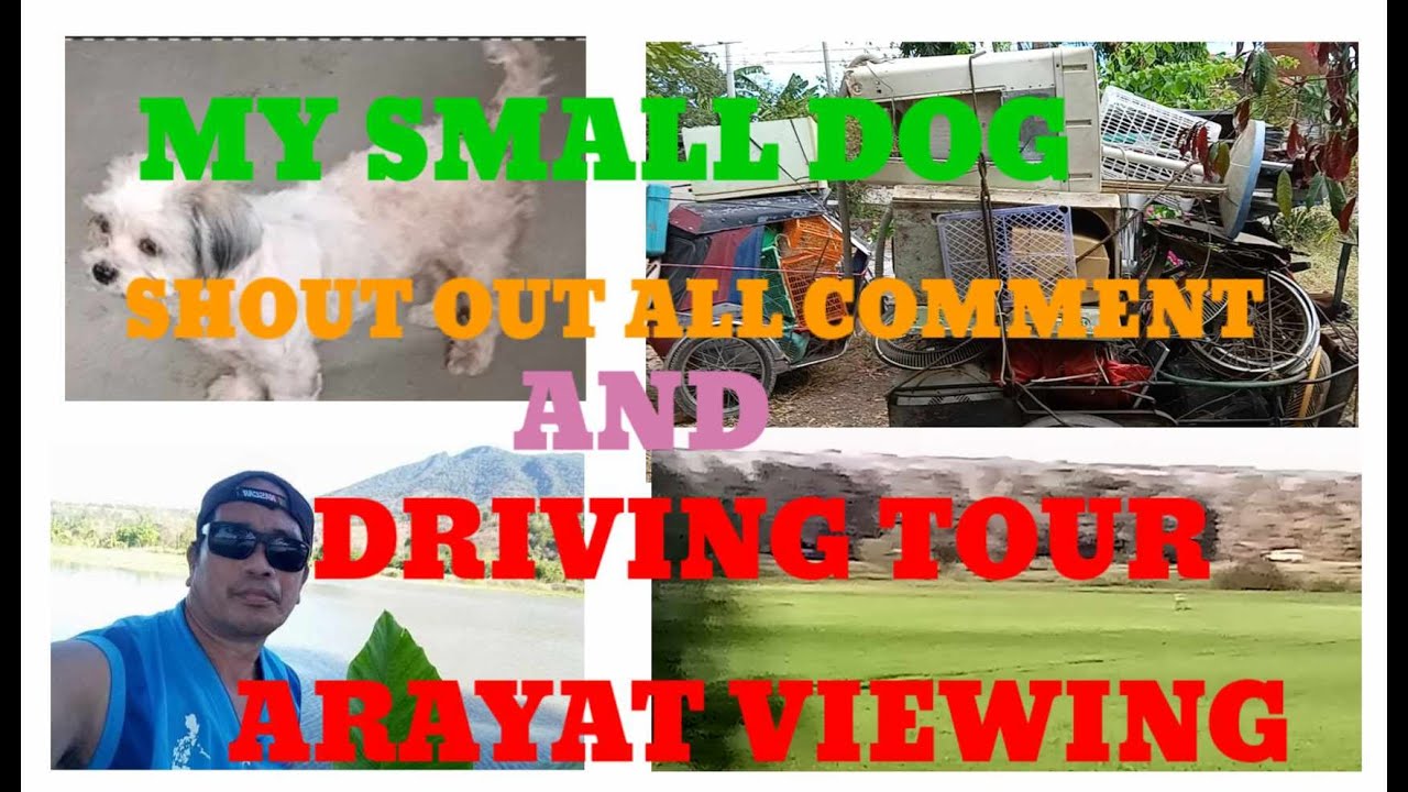 MY LITTLE DOG SHOUT OUT TO ALL COMMENT/AND DRIVING TOUR ARAYAT VIEWING ...