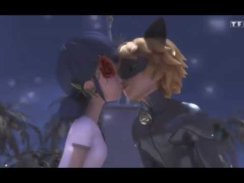 Mucize uğur böceği ile kara kedi Marichat edit.