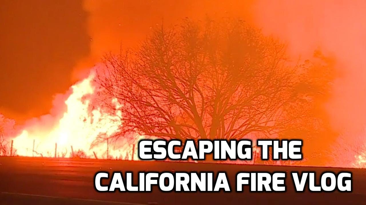 I Survived The California Fires // Lilac Fire Vlog (Real Footage ...