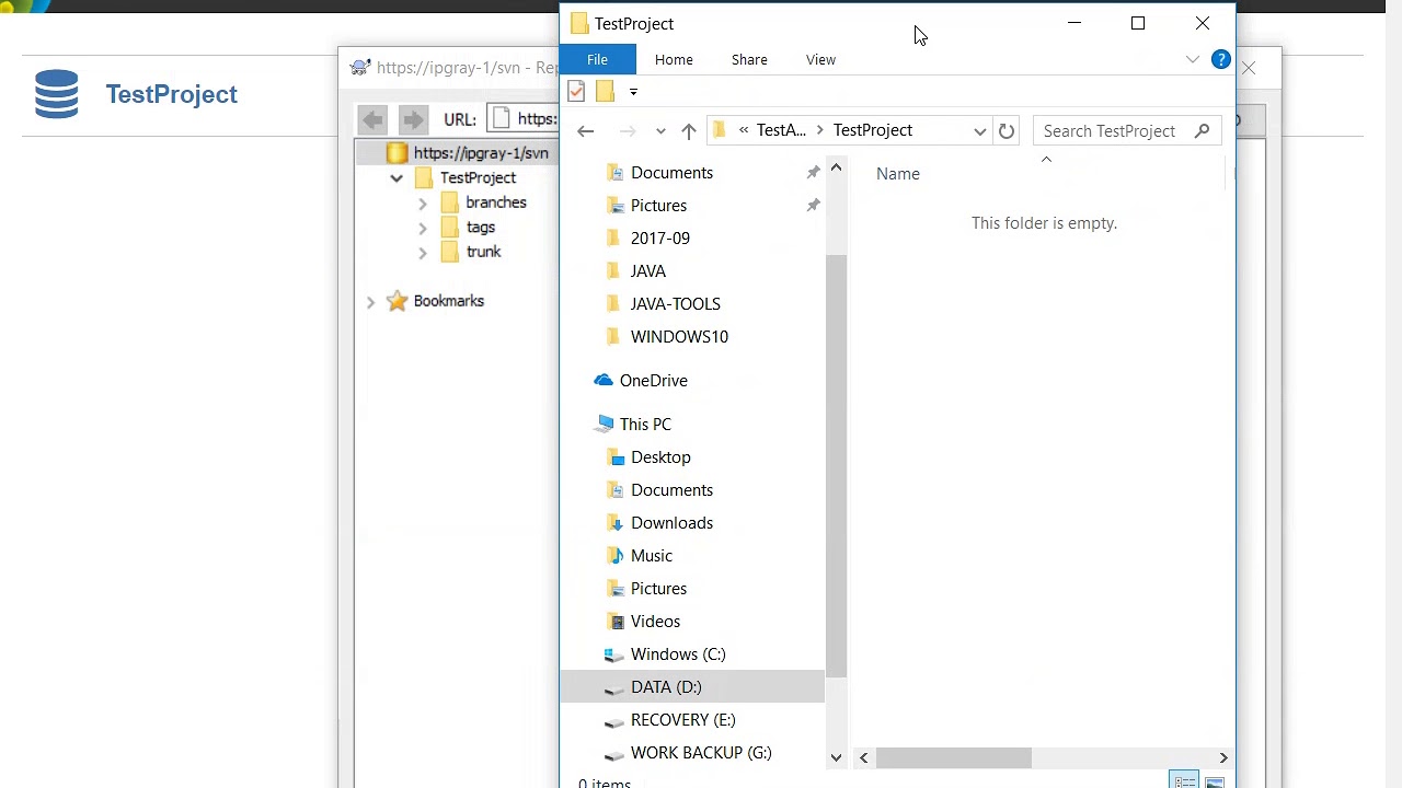 Ipgray Tortoise Svn How To View And Check Out The Visual Svn Repositories From Tortoise Svn