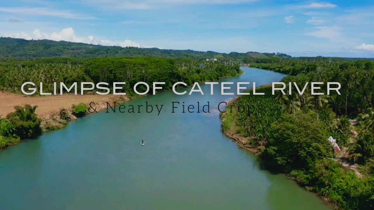 GLIMPSE OF CATEEL RIVER AND NEARBY FIELD CROPS - YouTube