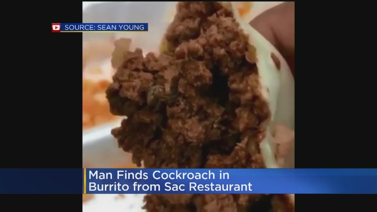 Cockroach In Burrito Closes Sacramento Restaurant - YouTube