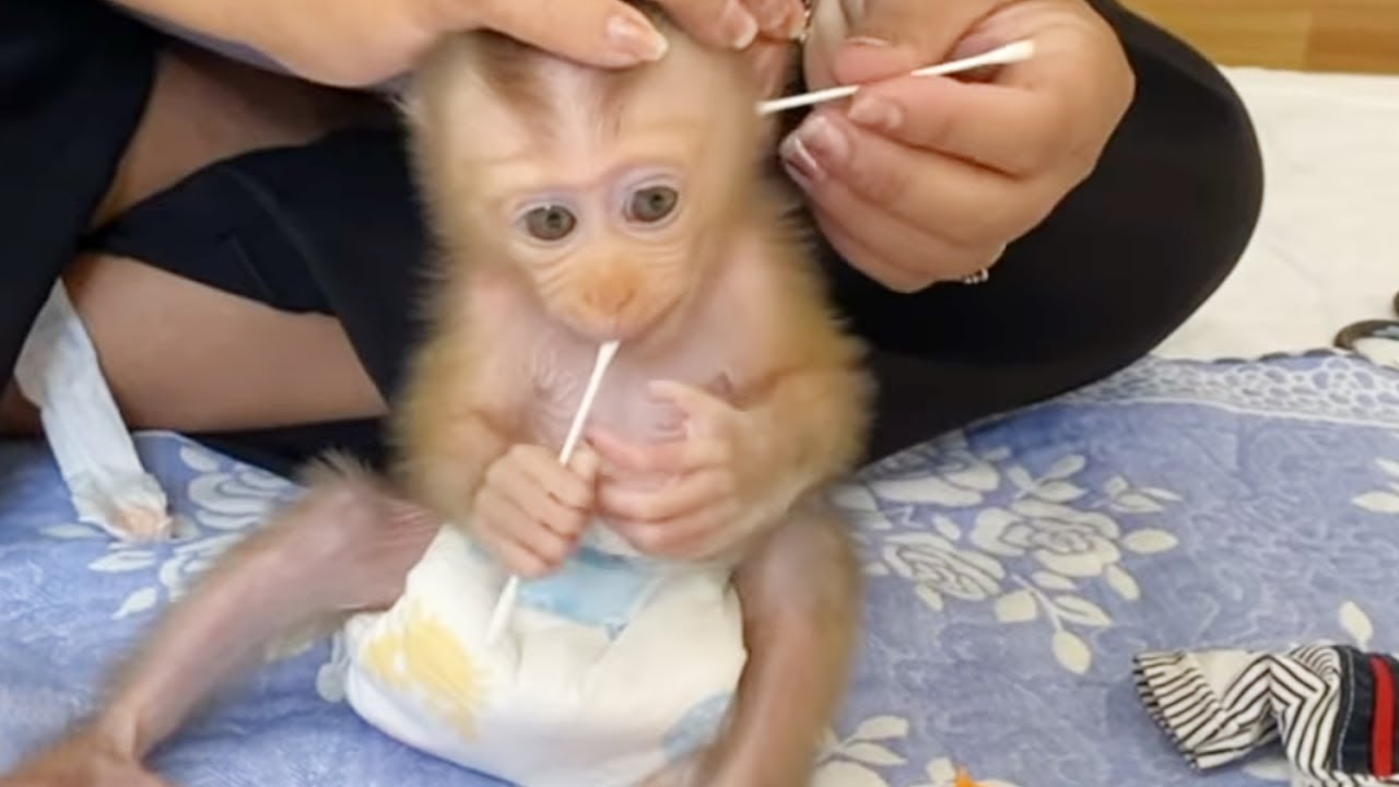 Baby DAM Is Obedient Let Mom Clean His Ear - YouTube