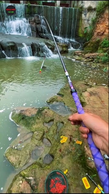 Unique fishing skills video 2025 | Best fishing techniques video # ...