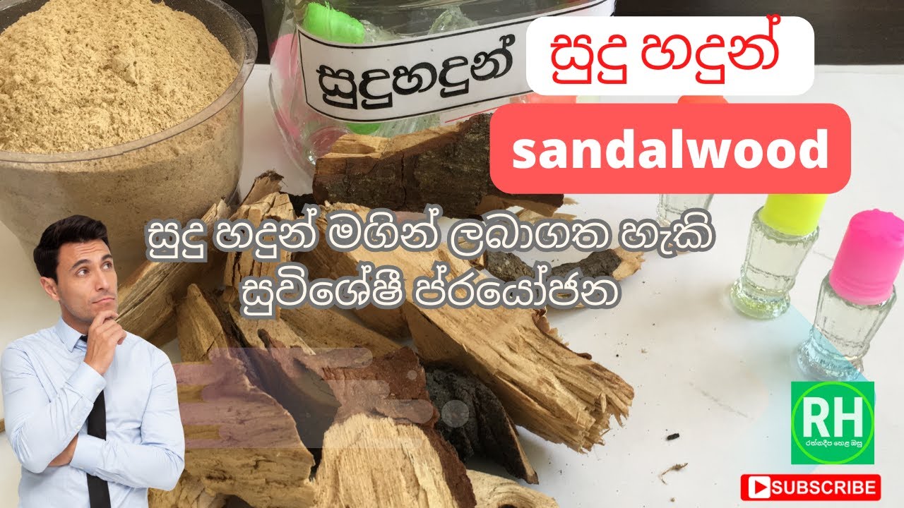 සුදු හදුන් | sandalwood | සුවිශේෂී ප්‍රයෝජන - YouTube