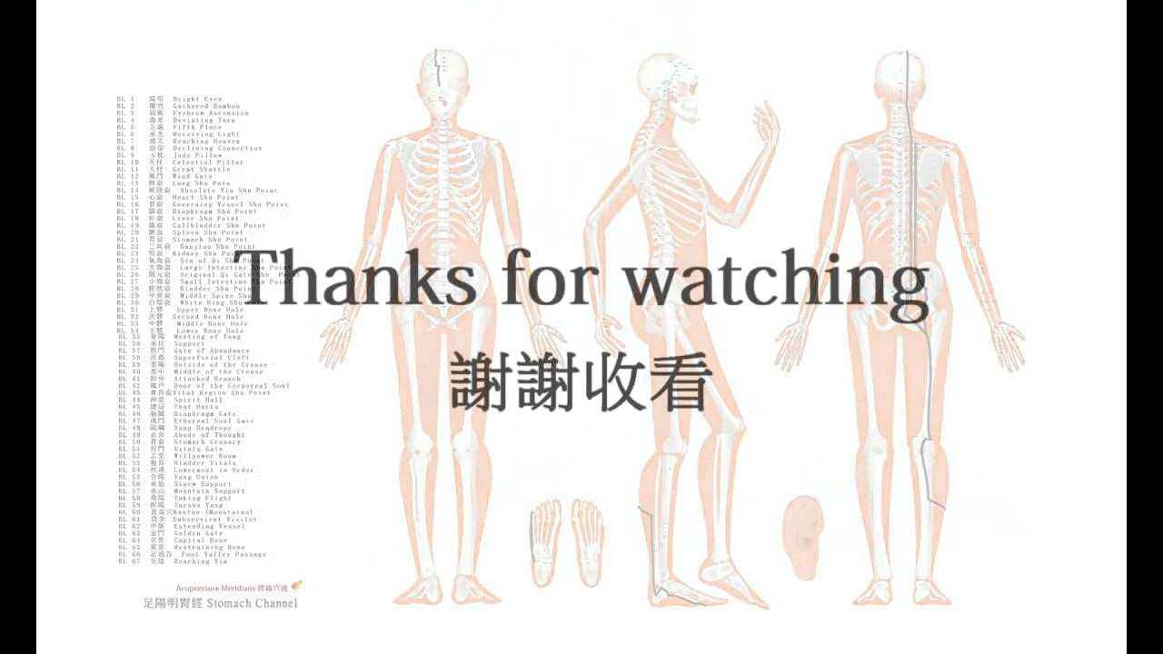 Acupoints Bladder Meridian - YouTube