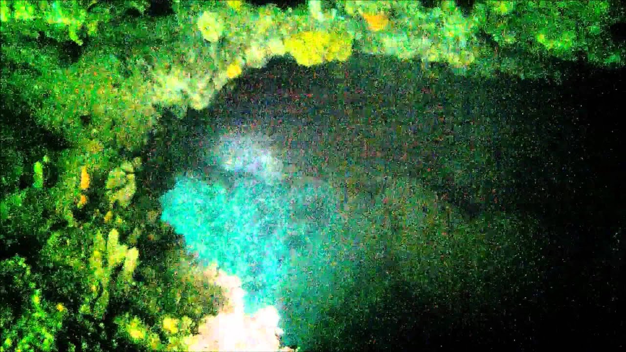 cray diving Warrnambool - YouTube