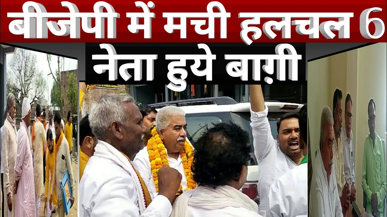 बीजेपी में मची हलचल 6 नेता हुये बाग़ी | Bjp ke neta huye bagi | bjp ...