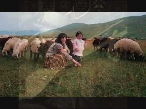 Ayten Alpman - Memleketim