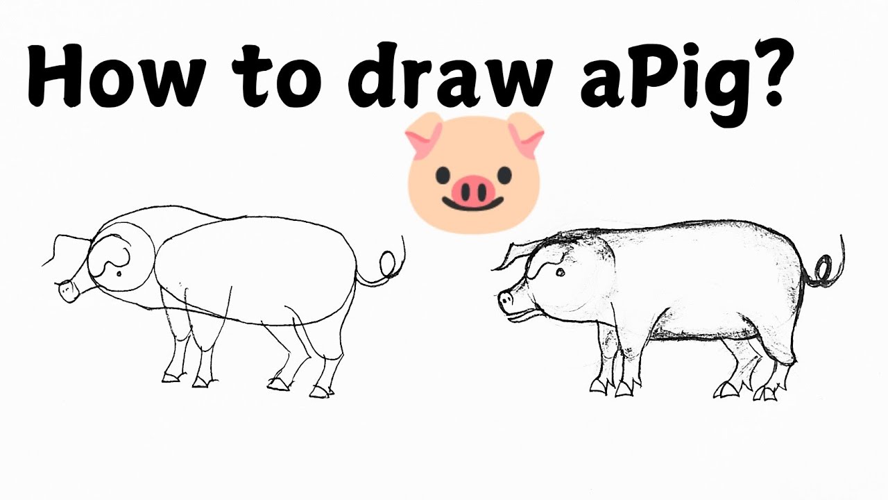 How to draw a Pig easily? 🐷 - YouTube