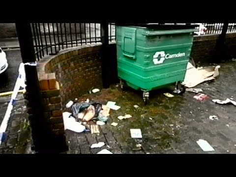 Killer at the Crime Scene S01E01 - The Camden Ripper [True Crime ...