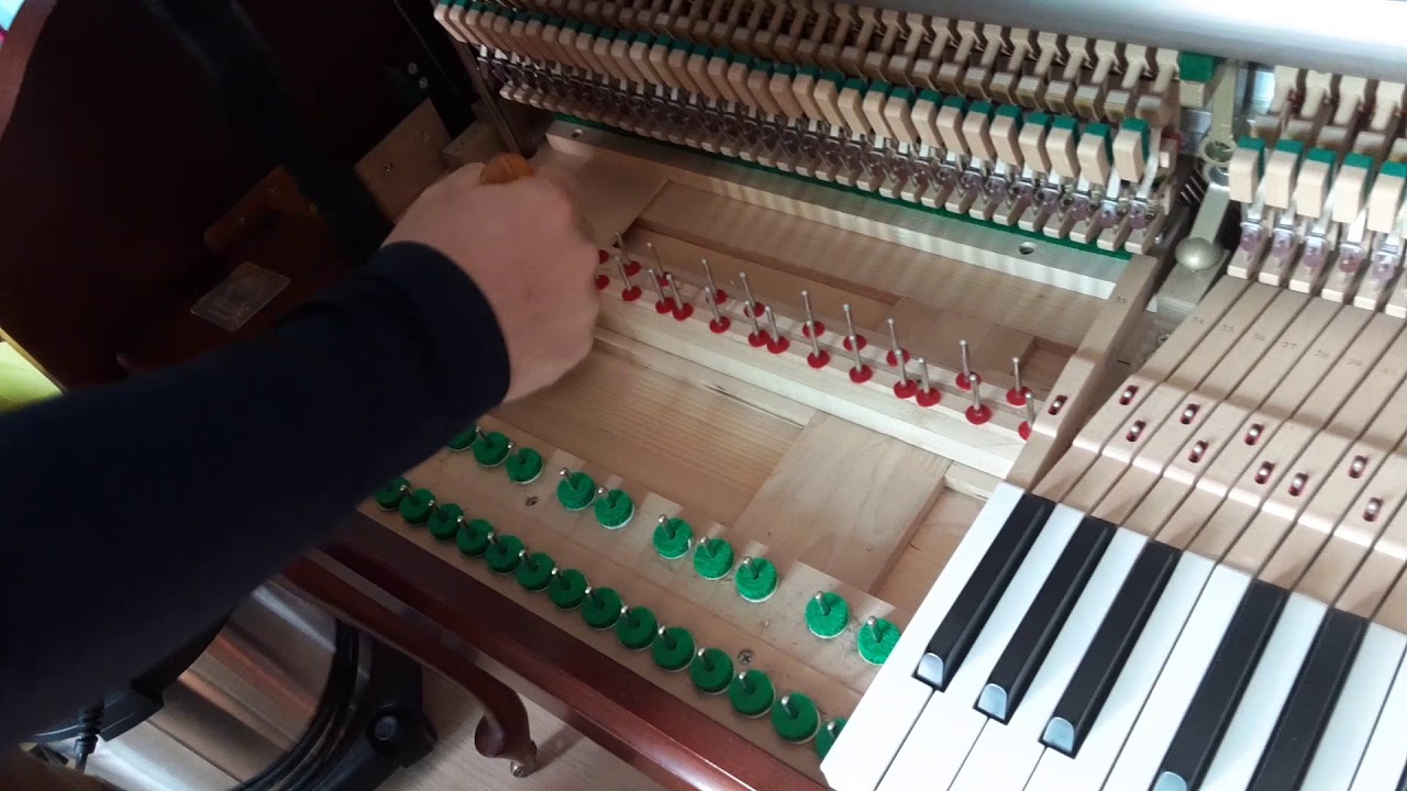 piano keybed cleaning 총신대학교/KBS아트홀전속조율사 피아노조율01063456667피아노 건반 키벧 청소작업 ...