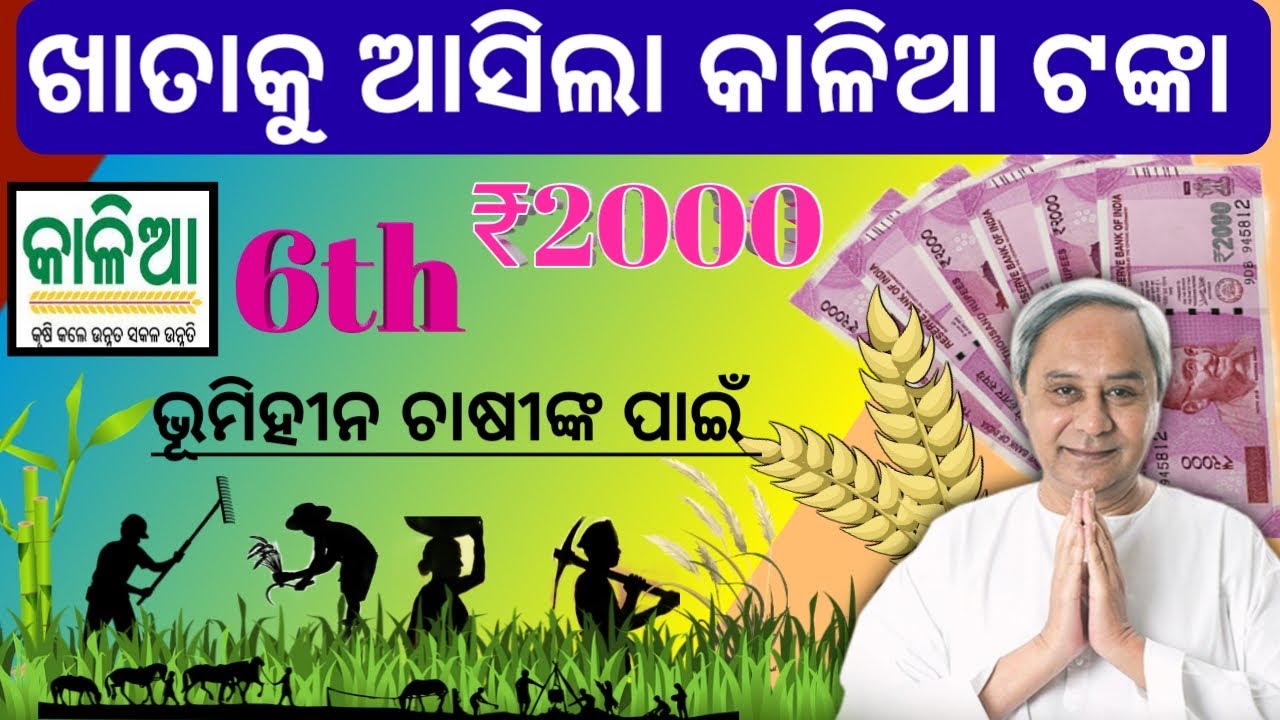 Kalia yojana new update today // Kalia yojana // Kalia yojana 6th ...