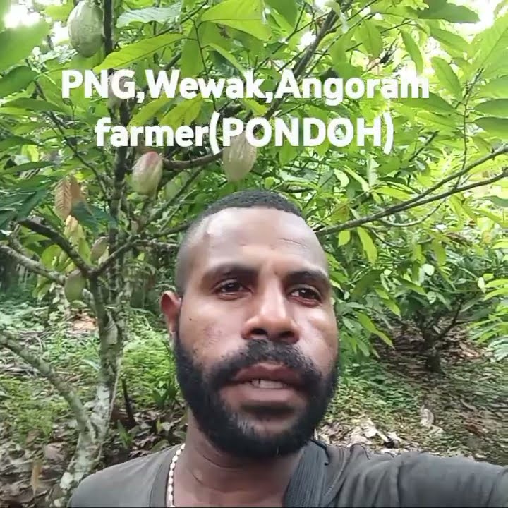 Png E.S.P.Wewak Angoram farmer(PONDOH) - YouTube