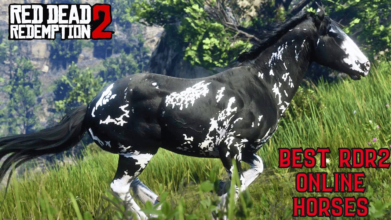 The Best RDR2 Online Horses ।। The Only Horse You Need in RDO - YouTube