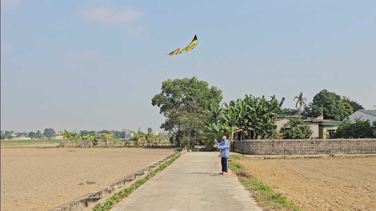 tét diều mắt cú 2m fun carbon . - YouTube