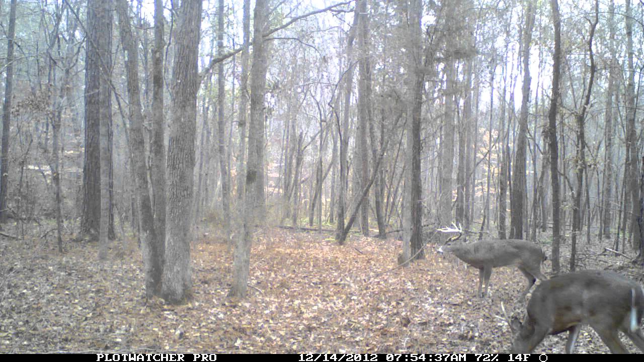 Day6 Outdoors PlotWatcher Pro - YouTube