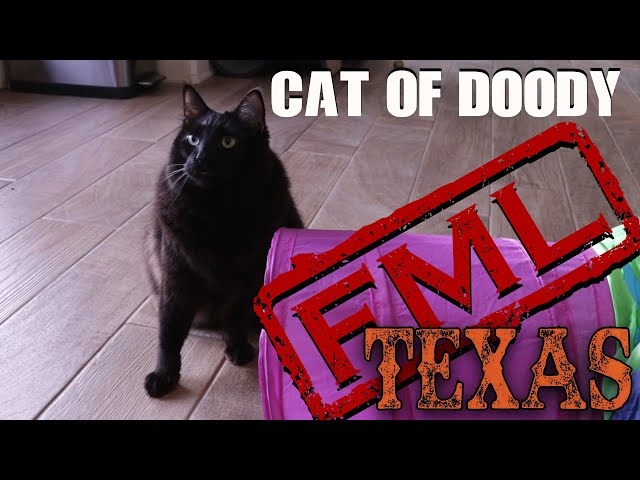 Fml Cat Memes Fml… #catmeme #zoningout #workmemes | TikTok