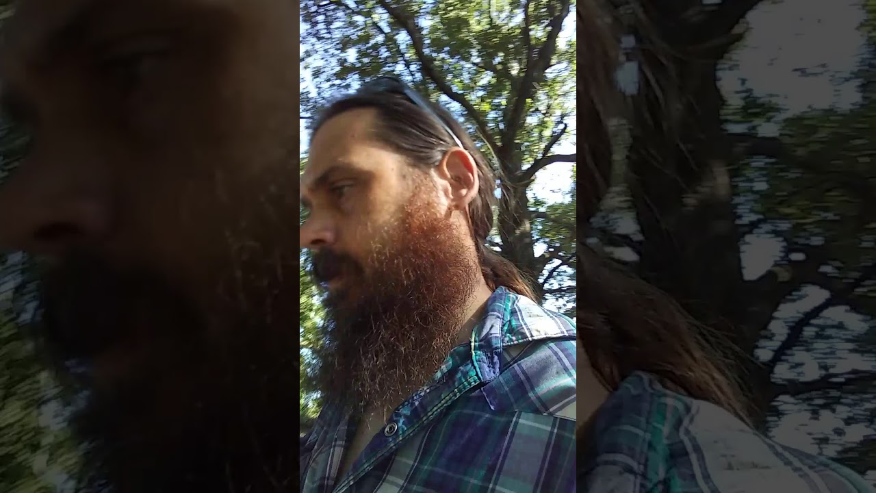 Cecil update 1 - YouTube