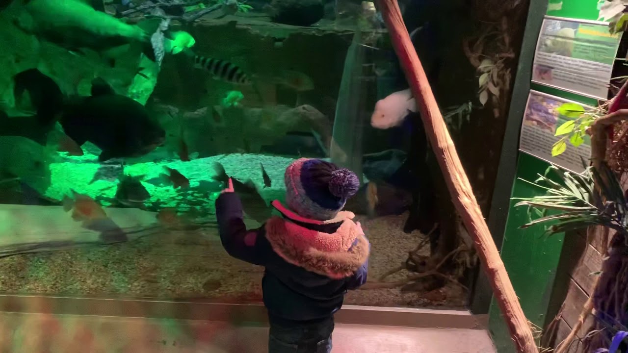 Cameron Sea World - YouTube