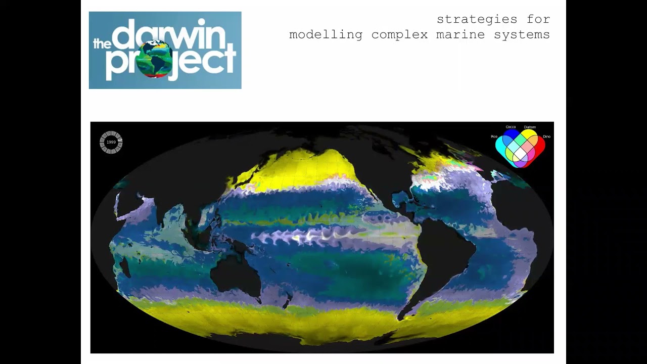 II Early Career Symposium on Marine Biogeochemical Modelling: Prof Andy ...