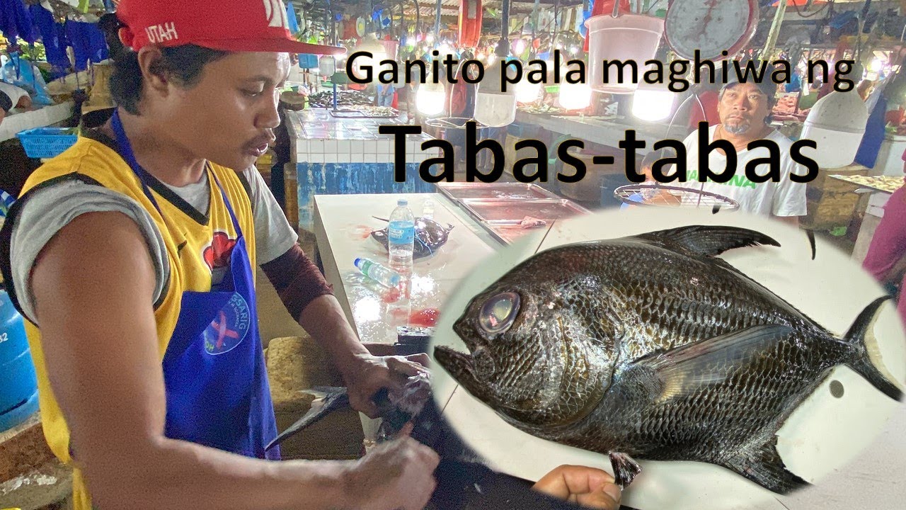 Sobrang tigas ang kaliskis ng isdang ito || Tabas-tabas (pomfret ...