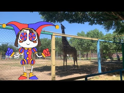 Pomni real in life.#animation #pomni #theamazingdigitalcircus - YouTube