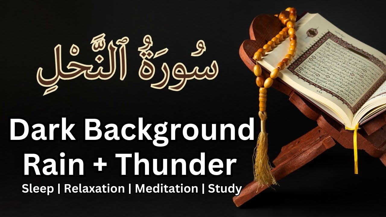 Quran with rain & thunder sounds!! Mesmerizing Quran feel nature ...
