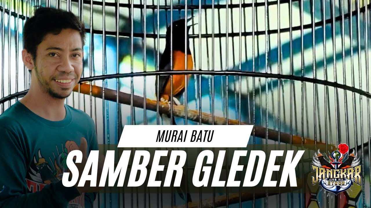 SAMBER GLEDEK ‼️ MAKIN HOT || JANGKAR UTARA - YouTube
