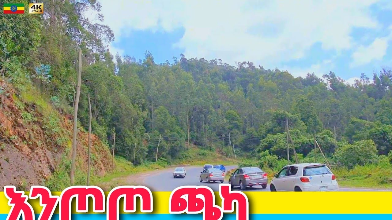 የአዲስ አበባ መግቢያ | Entoto Forest, Addis Ababa 🇪🇹 Ethiopia Walking tour ...