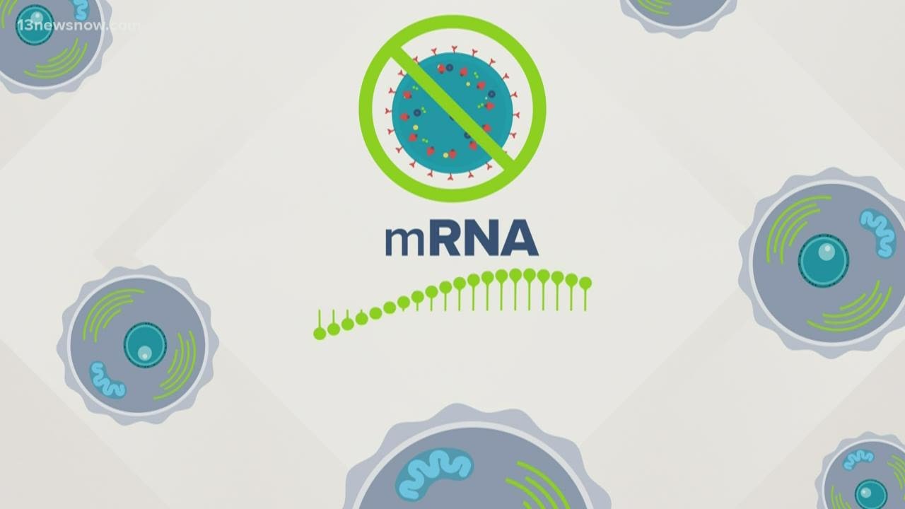Understanding mRNA COVID-19 vaccines - YouTube