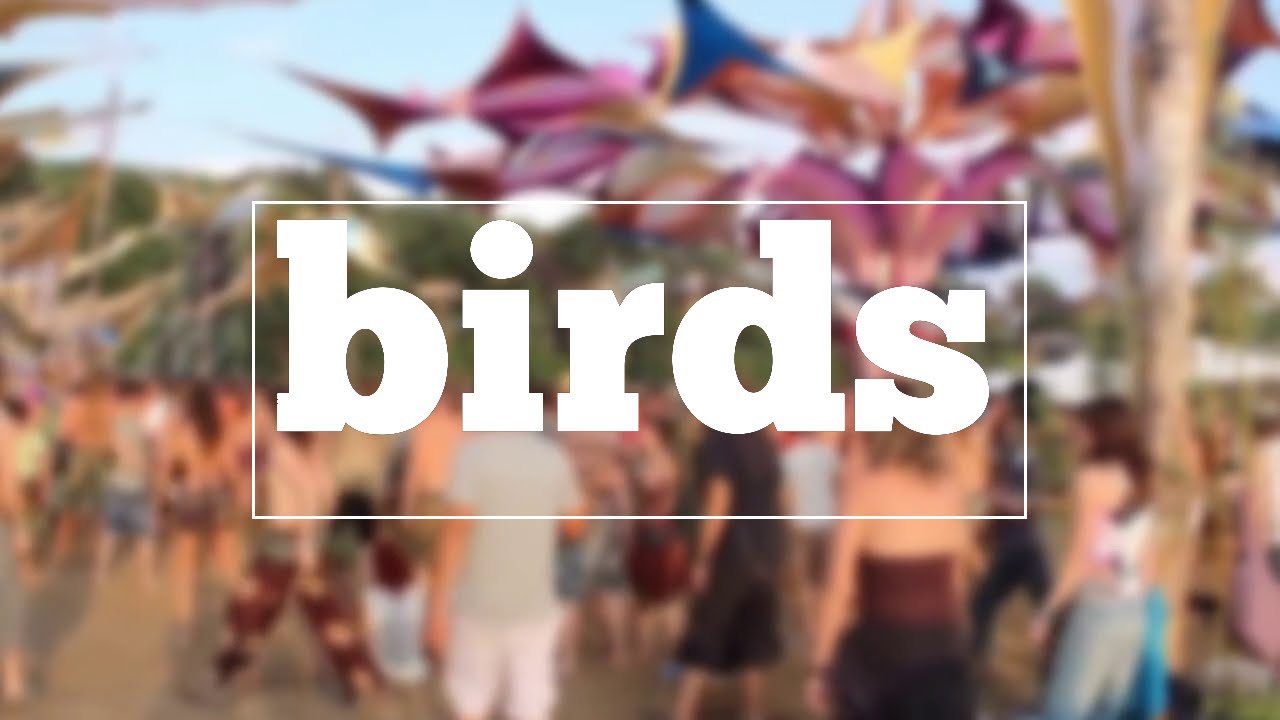 How to spell birds - YouTube