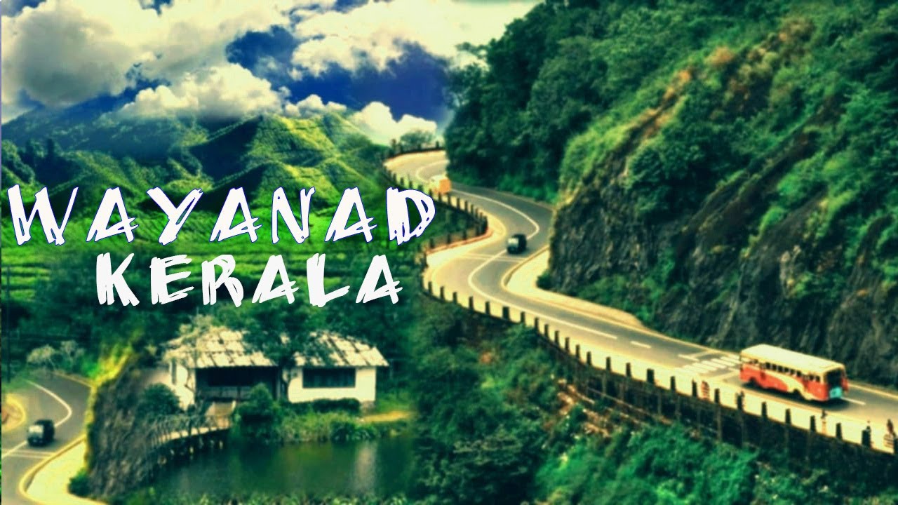 Wayanad Tourism I Kerala I Beauty of Wayanad -വയനാടൻ കാഴ്ച്ചക ...