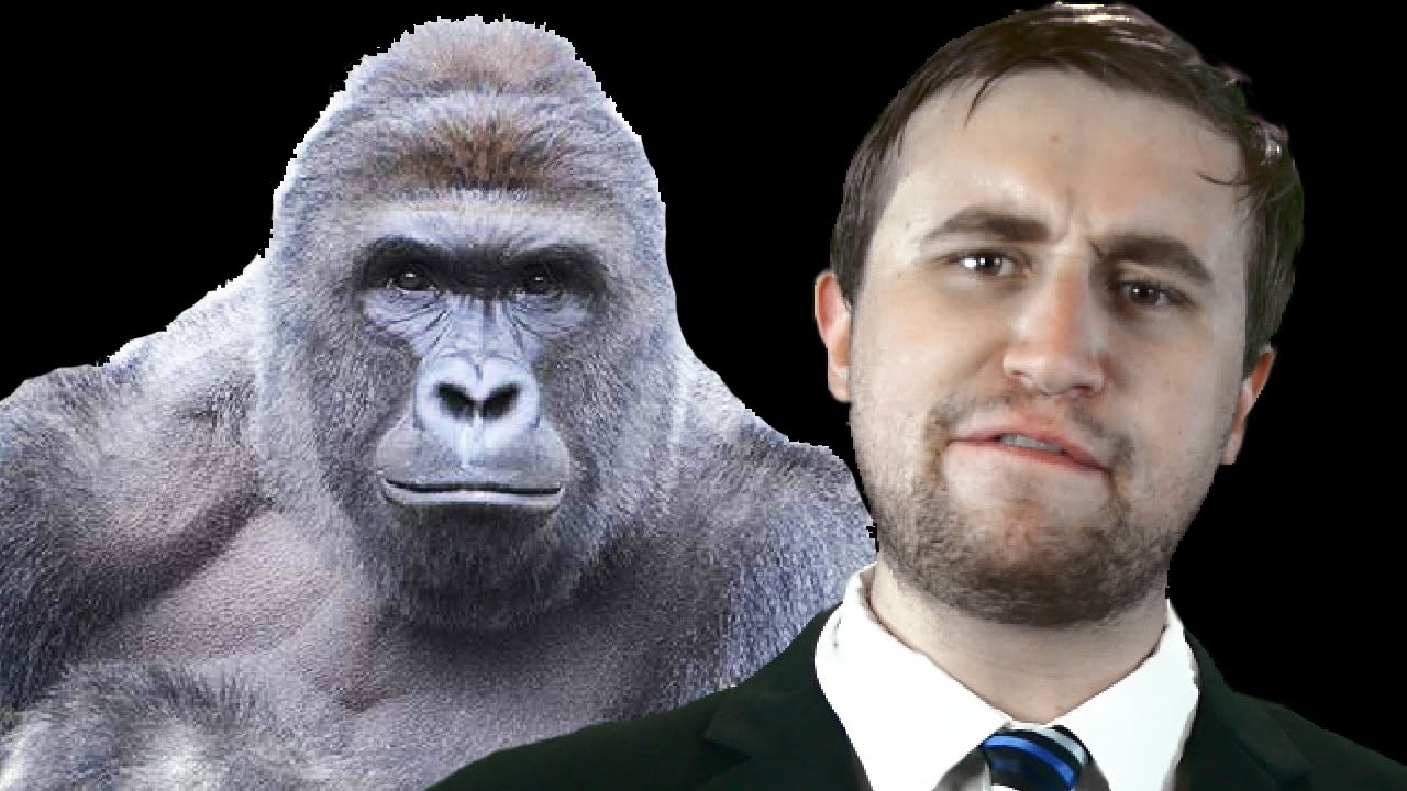 Harambe the Gorilla EXPLAINED - YouTube