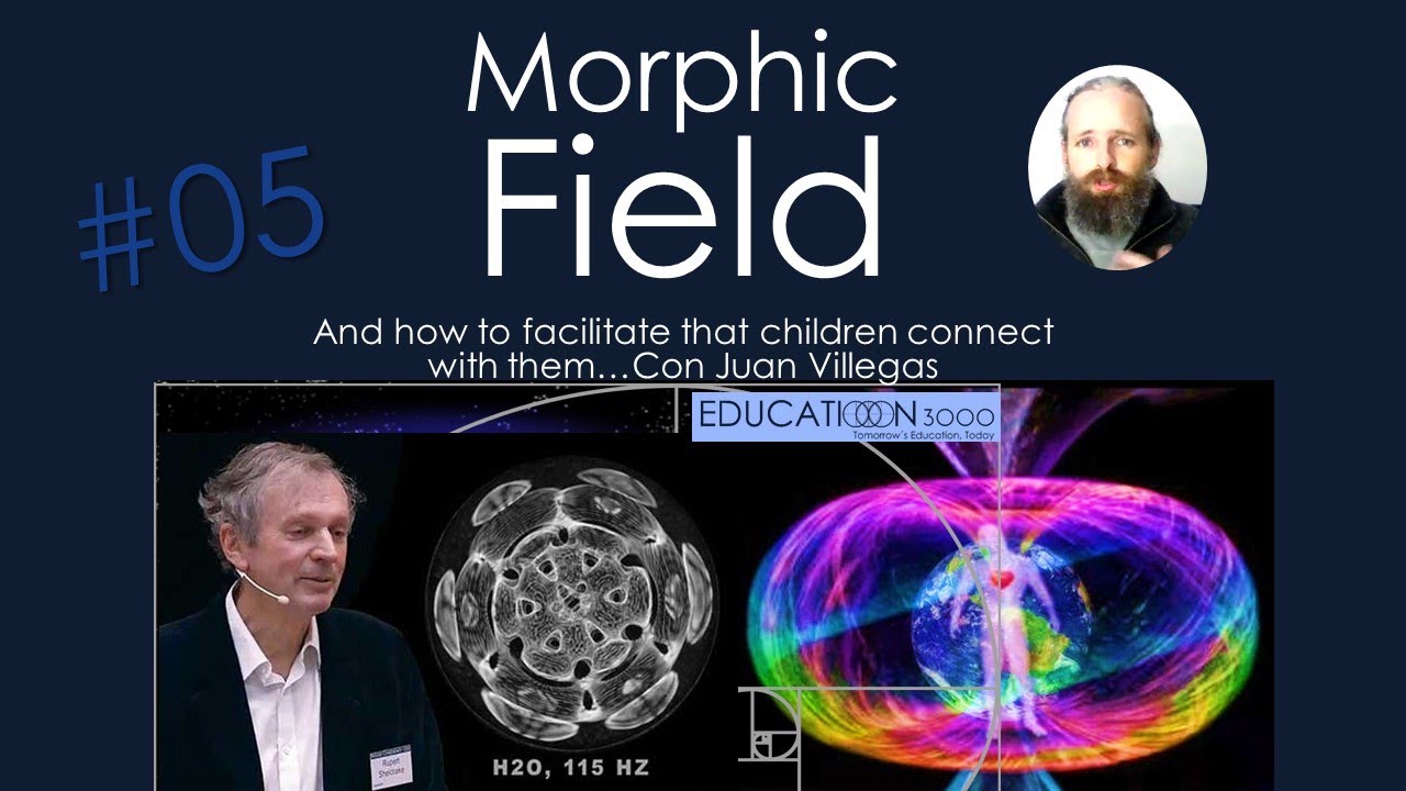 #05/7 Morphic Fields and Quantum Education - YouTube