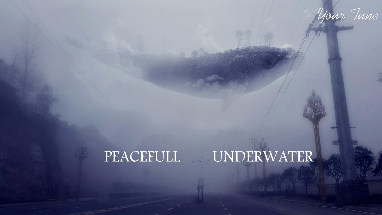~ relax whale sound & calm tune ~ - YouTube Music