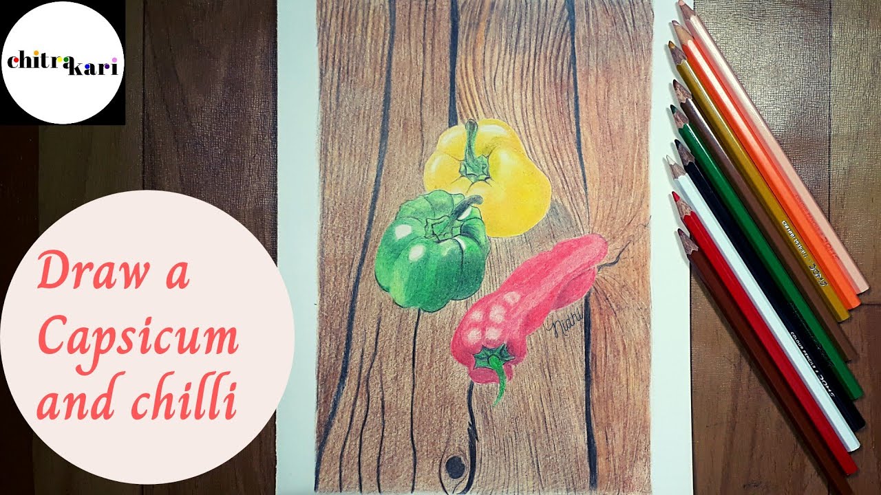 How to draw realistic capsicum and red chilli with colour pencil - YouTube