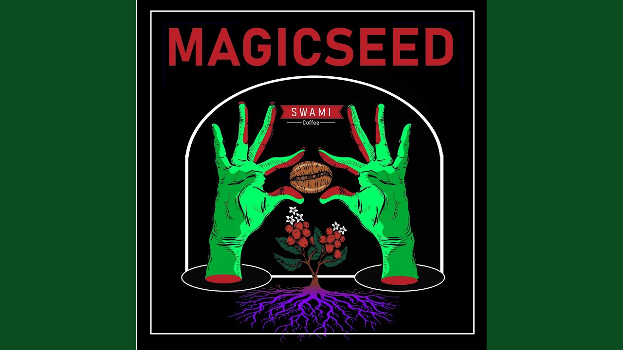 Magic Seed (feat. Omid Pakdel) - YouTube